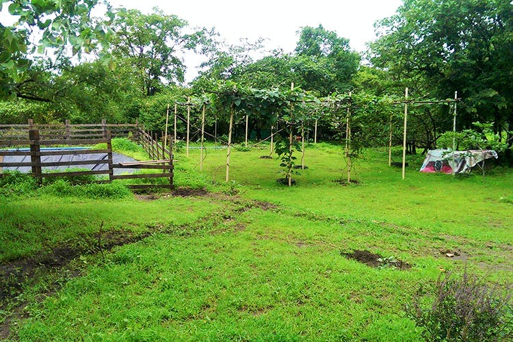 Head to The Farm at NDA Road for all things organic | LBB, Pune