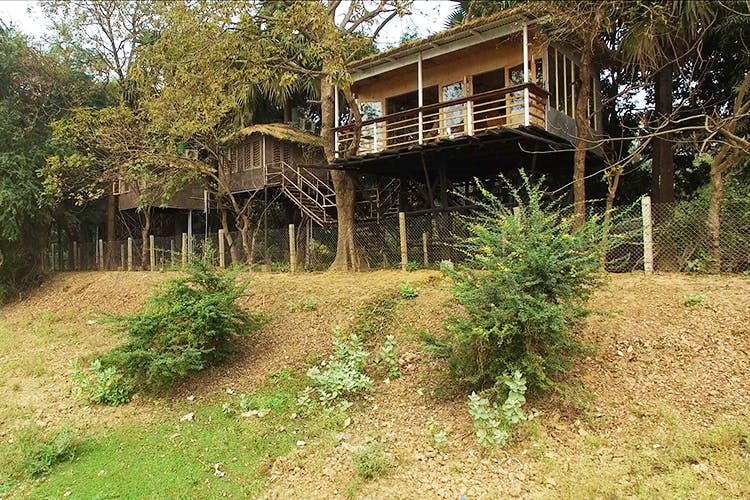 In Two Hours, You Can Be At This Tree House Inside A Mango Orchard ...