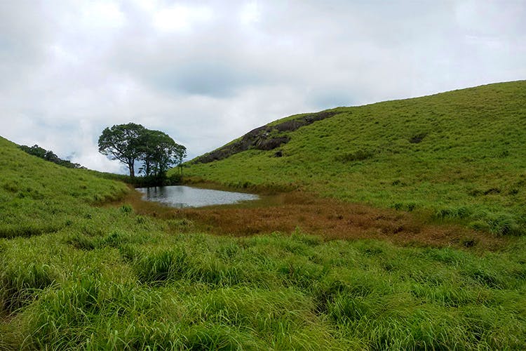 Enjoy Trekking And Camping At Wayanad | LBB, Bangalore