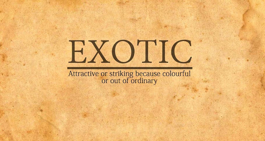 Exotic | The "Veiled" Compliment | LBB