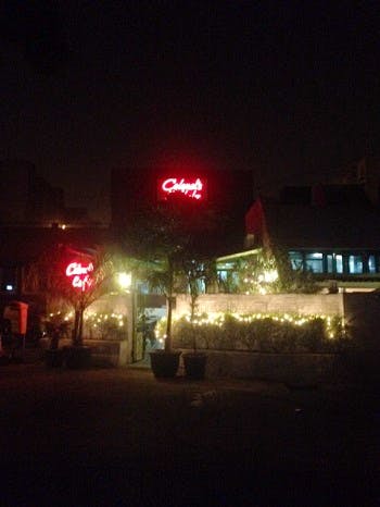 This Week at LBB | Fashion, Food and Furry Friends | LBB