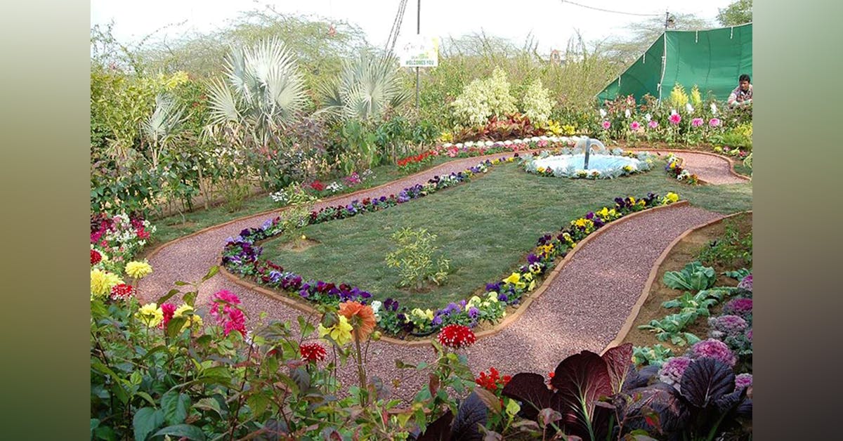 What To Explore At The Garden Of Five Senses LBB Delhi what-to-explore-at-the-garden-of-five-senses-lbb-delhi