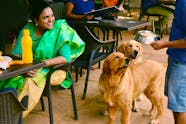 Are Dogs Allowed In Cafes And Restaurants