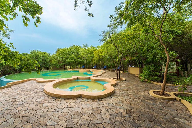 Stay At The Windflower Resort Bandipur | LBB, Bangalore