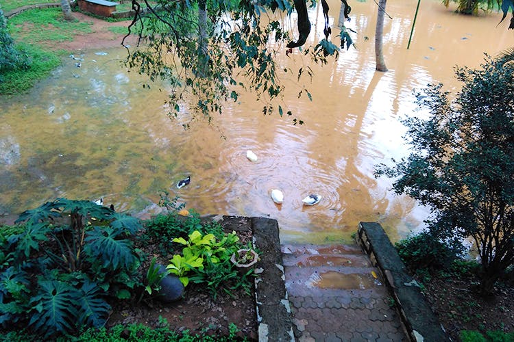 Martin's Farm Sarjapur Road | Little Black Book, Bangalore