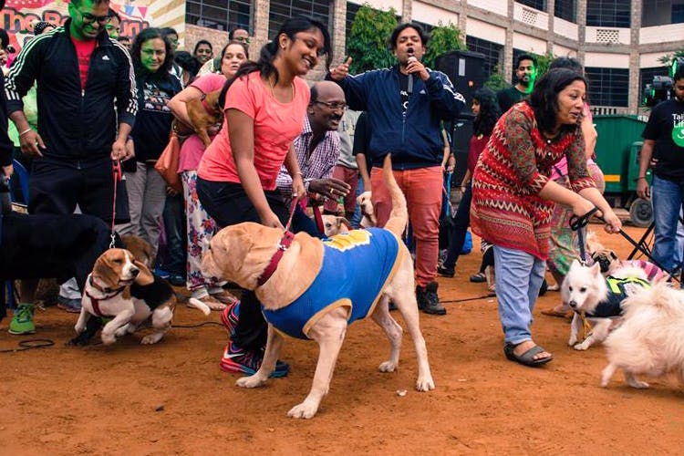 The Indi Dogathon 2017 | LBB, Bangalore